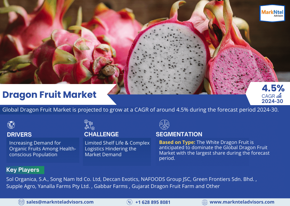 Dragon Fruit Market Global Size, Share, Sales, & Demand | Forecast 2030