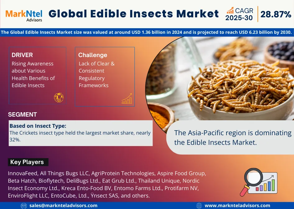 Global Edible Insects Market Growth Insights
